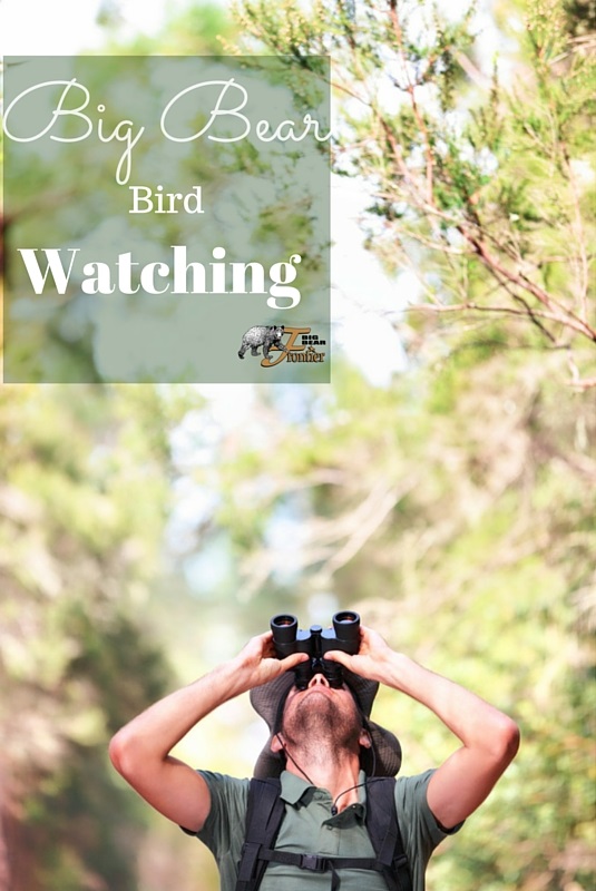 Top 5 Best Bird Watching Trails at Big Bear Lake – Big Bear Frontier ...