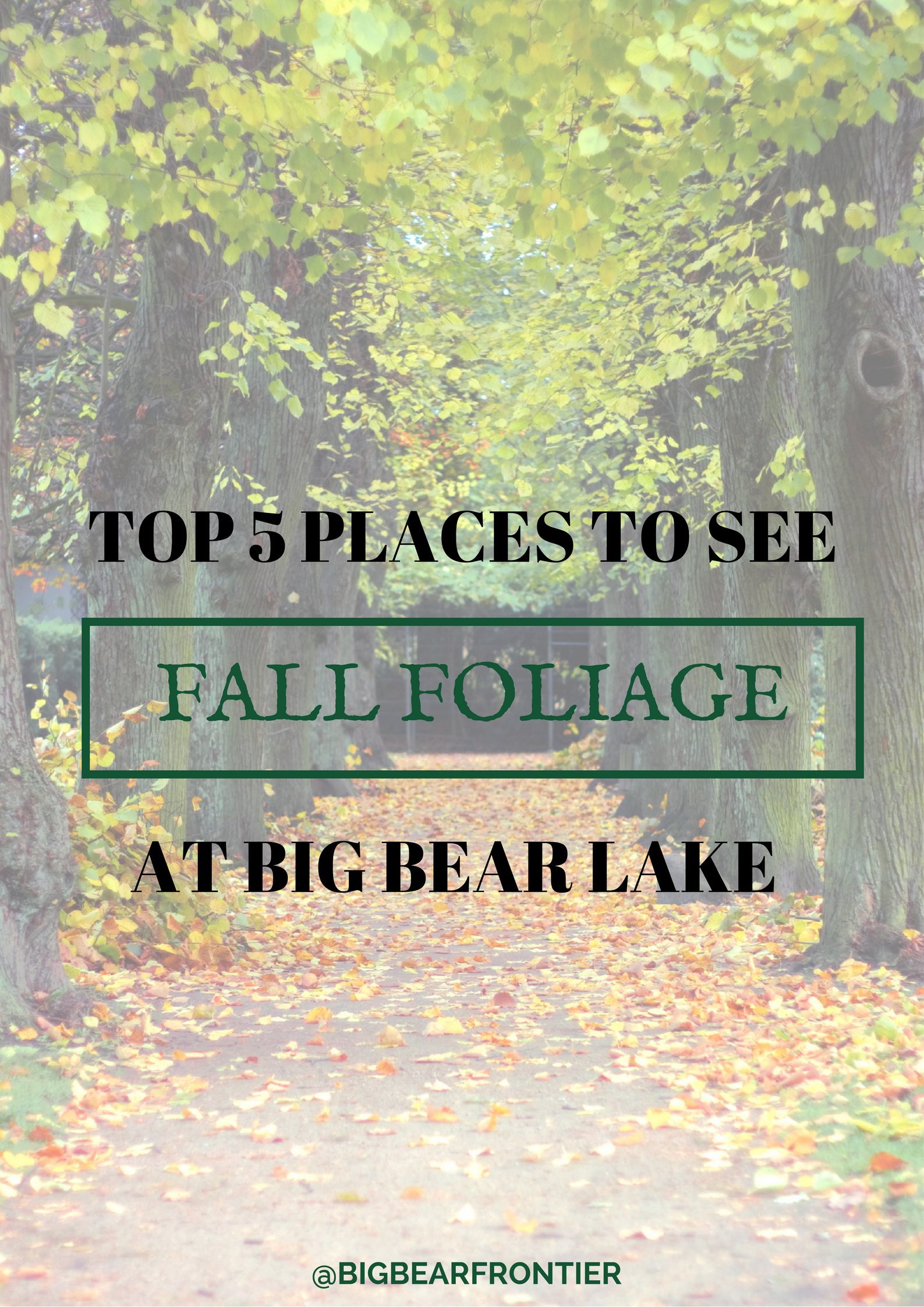 The 5 Best Places to See Fall Foliage Colors at Big Bear Lake – Big ...