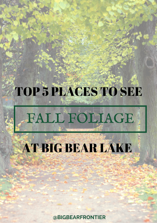 The 5 Best Places to See Fall Foliage Colors at Big Bear Lake – Big ...