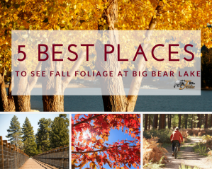 The 5 Best Places to See Fall Foliage Colors at Big Bear Lake – Big ...